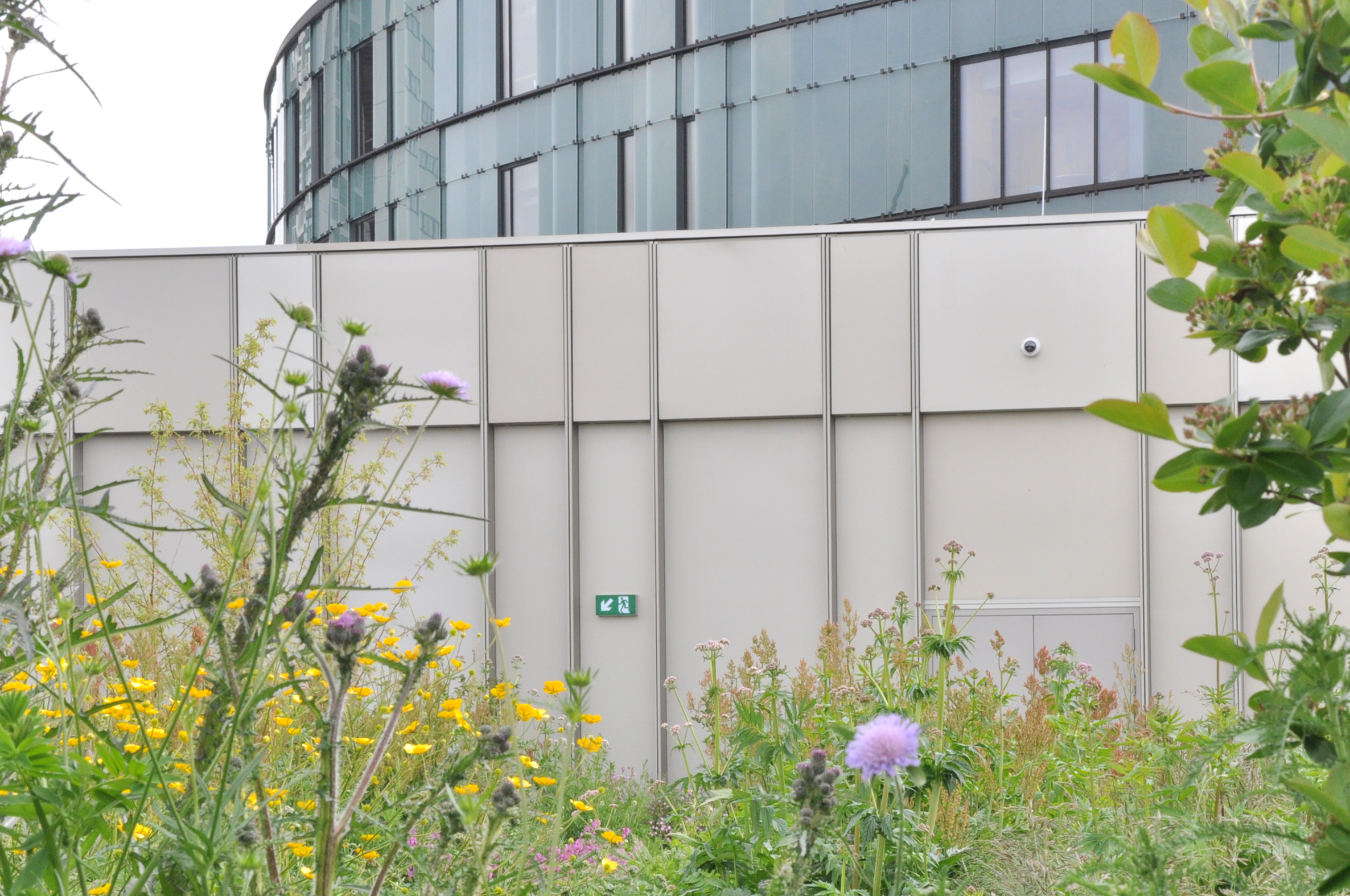 Steno Diabetes Center Cph | SafeExit